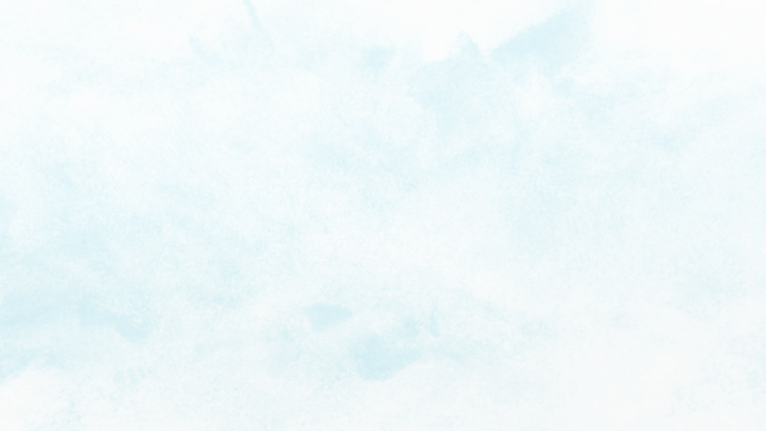 Official BINI Members Profiles | BINI Concert 2024